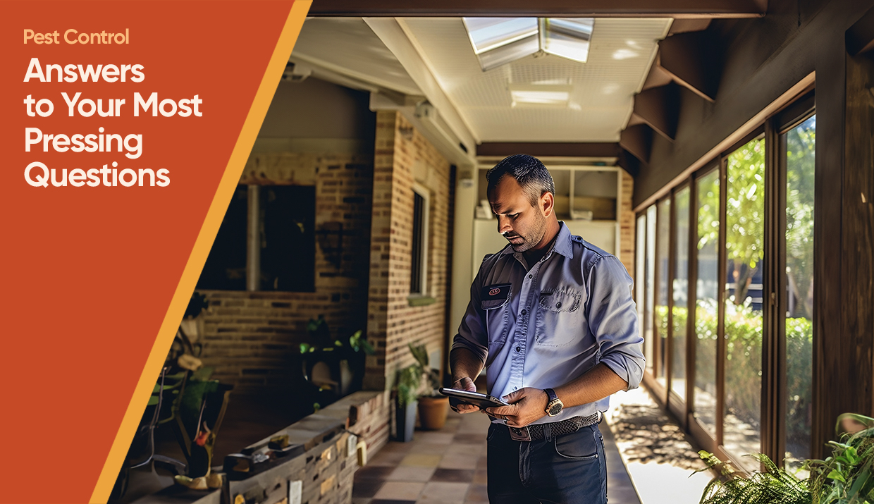 Pest Control: Answers to Your Most Pressing Questions - Pest Management App